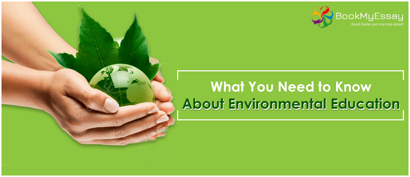 What You Need to Know About Environmental Education